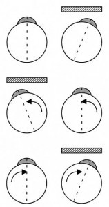 » Alternate cover testCanadian Neuro-ophthalmology Group